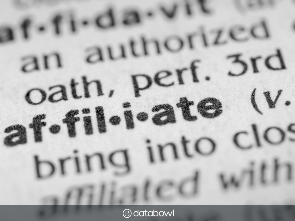 How to Set Up a Successful Affiliate Offer / Blog / Databowl